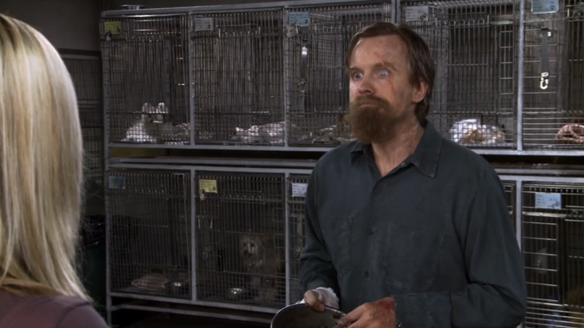 The Tragic Trajectory of Rickety Cricket: A Timeline of Transformation ...